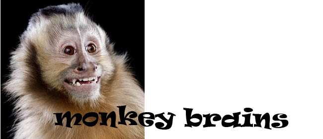 Monkey Brains | Film and TV Production Company
